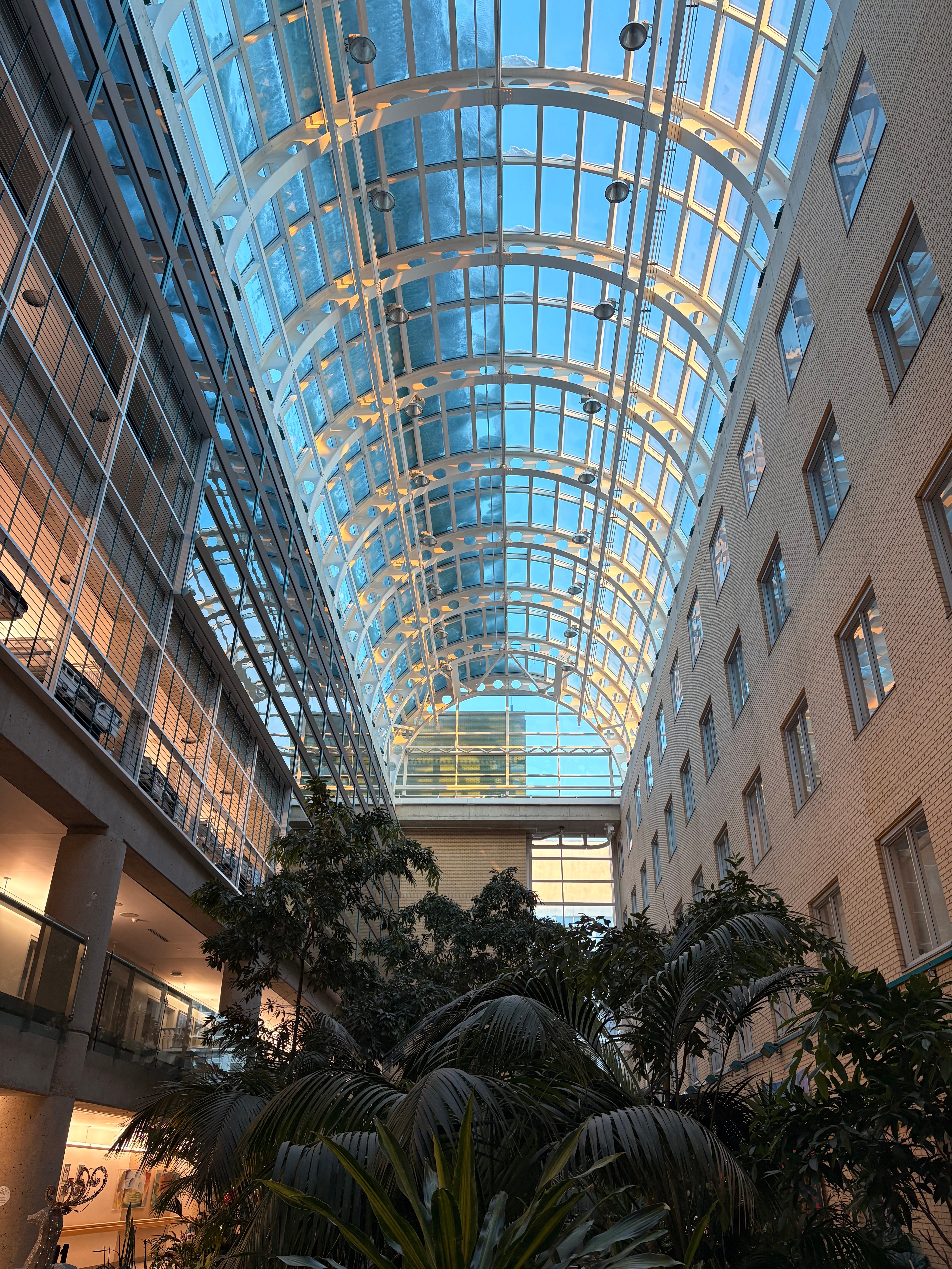 On hold - by Ryan Kehler - Ryan's Substack