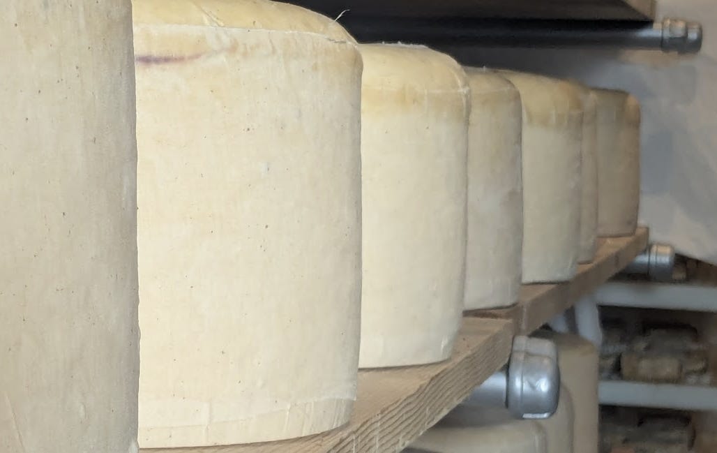 Best Bay Area Cheesemakers, Cheese Shops