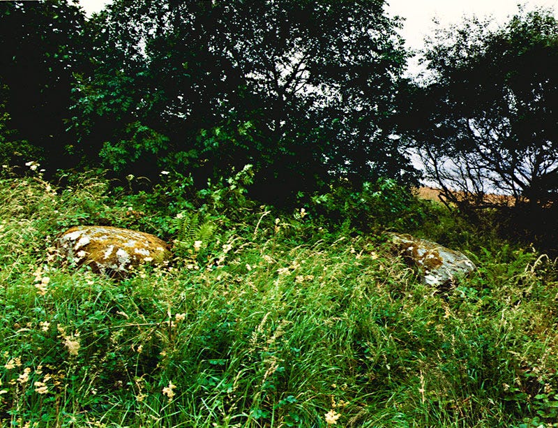 The Sea Maiden: A Selkie Tale - by Jennifer Murphy