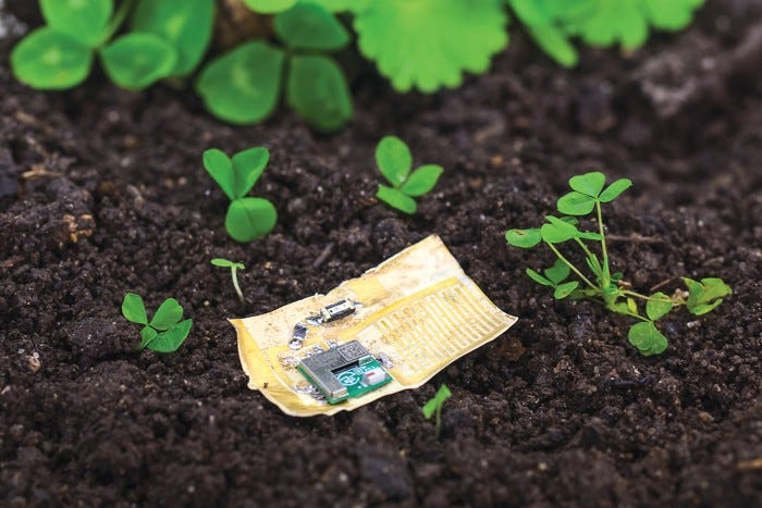 Fungi in Food Technology: Innovations, Challenges, and Sustainable ...