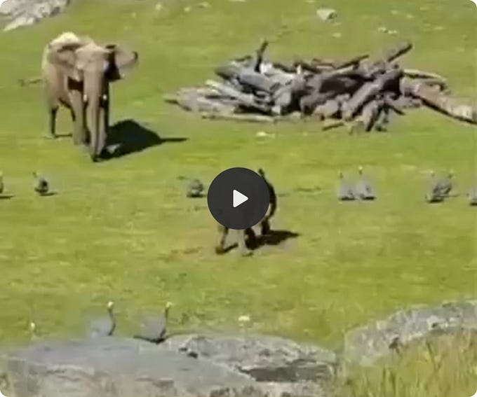 9/11 Revisionist (@911revision): "Hope this puts a smile on your face today."