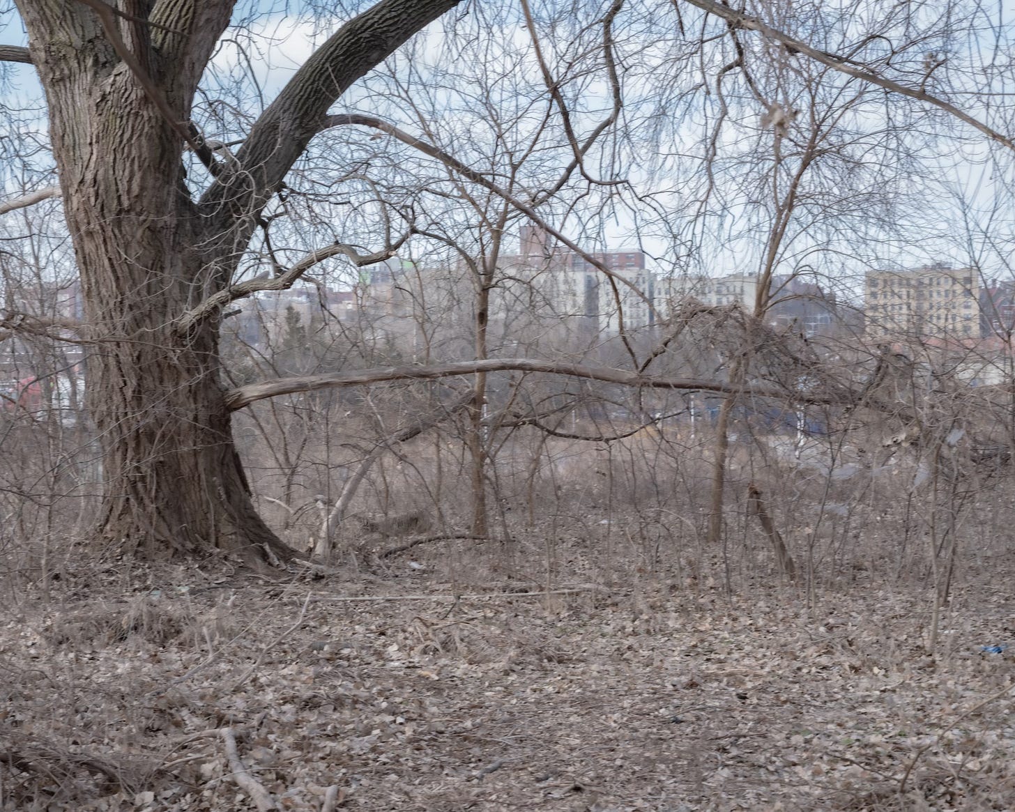 Soundview - The Bronx - by Rob Stephenson