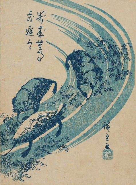 Turtles in Japanese Folklore and Culture