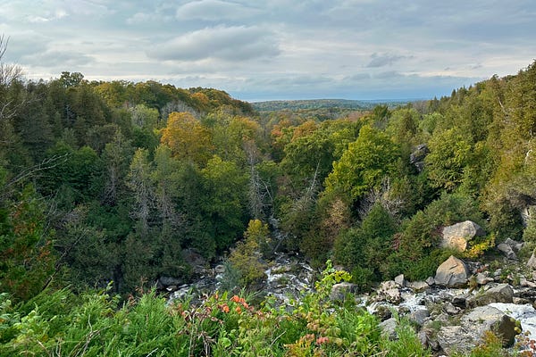 The Owen Sound Current | Miranda Miller | Substack