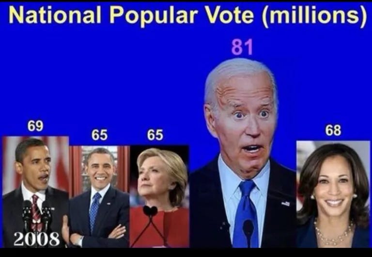 Ann Barnhardt Memes - Edwin’s Newsletter #1