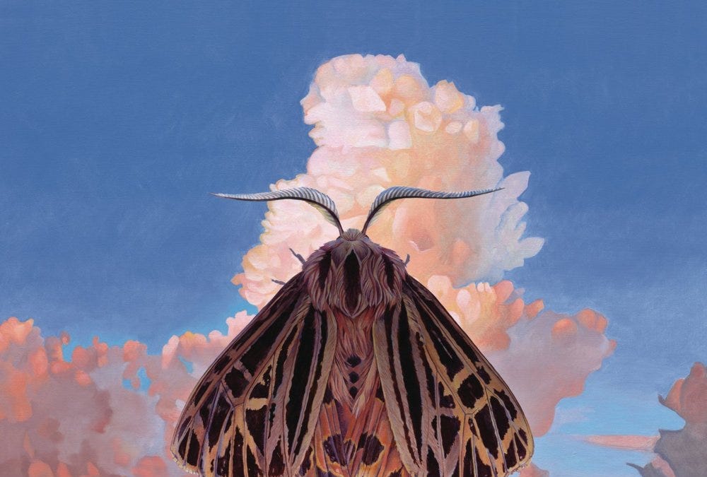 Revisiting Chairlift's 'Moth' at 10 - by Max Freedman