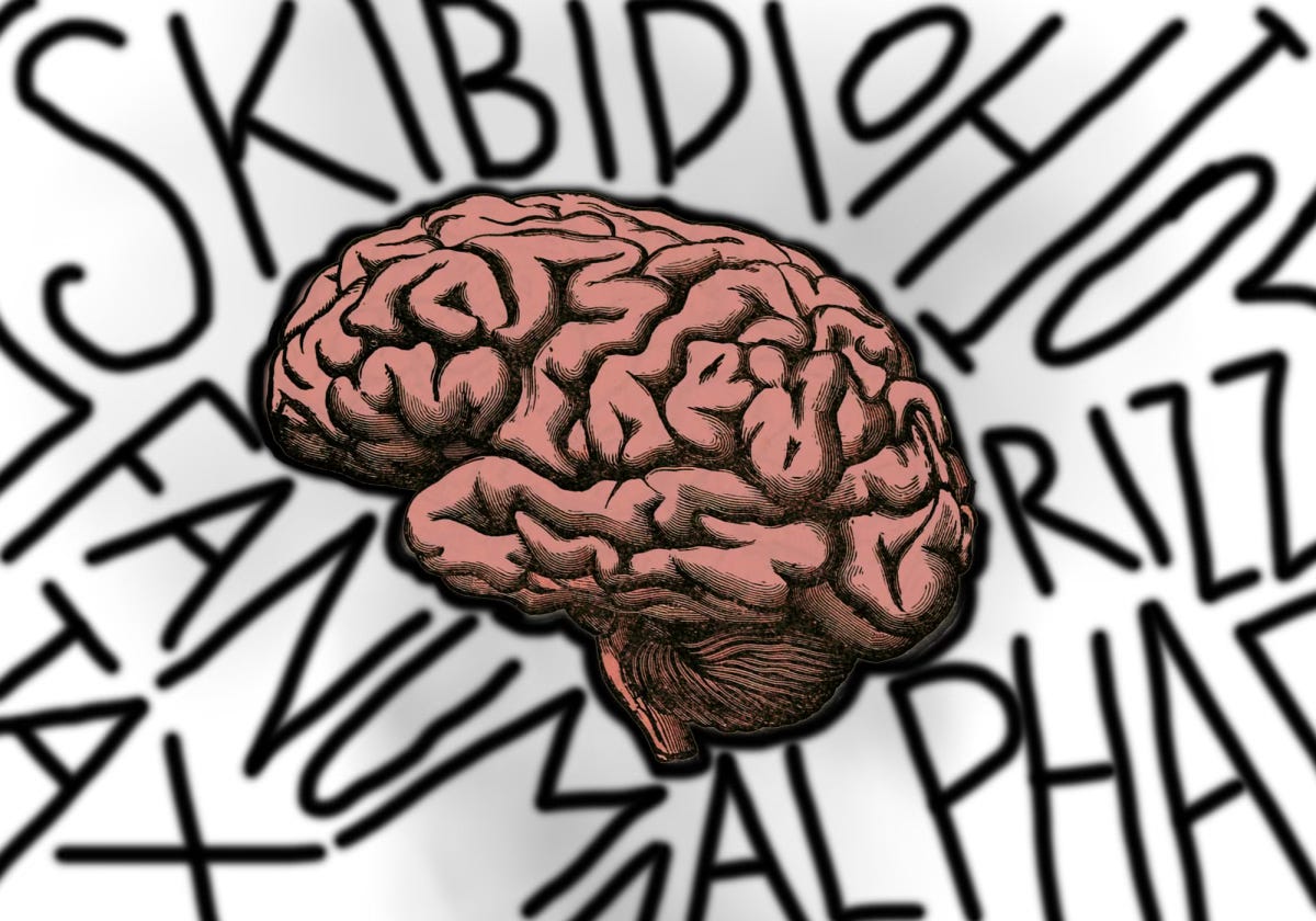 ‘brain Rot’ and the ‘cooked’ Generation: understanding gen alpha in a ...