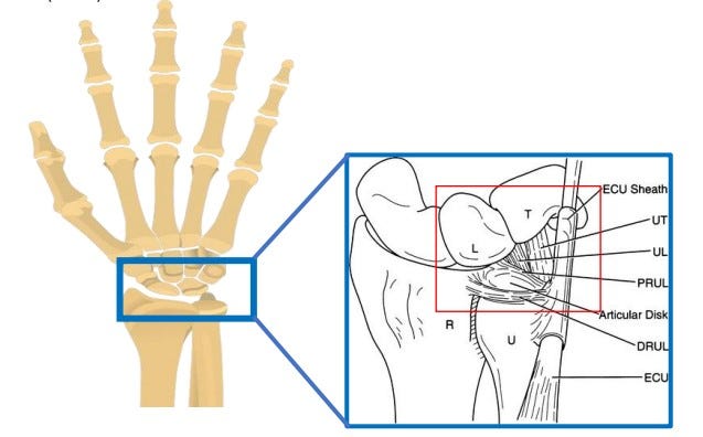 Clinician's Corner | Ulnar Wrist Pain - Most of the Time It Isn’t a ...