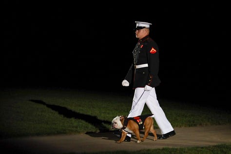 Kayla’s Guide to the USMC Friday Evening Parade at 8th & I