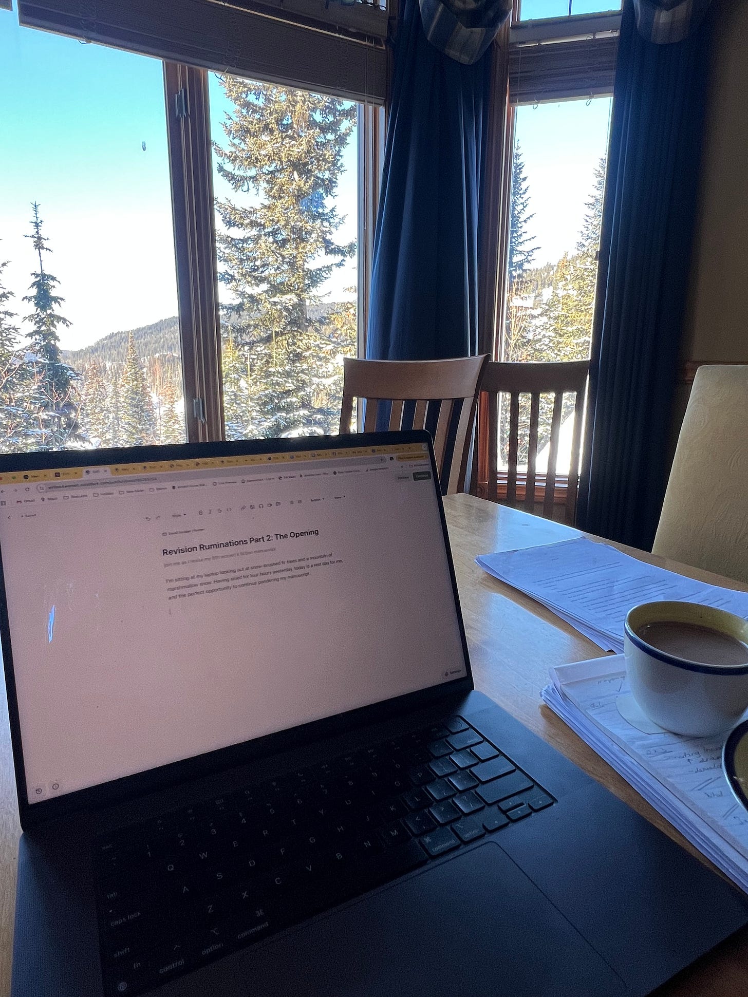 Revision Ruminations Part 2: The Opening - by Pamela Cook