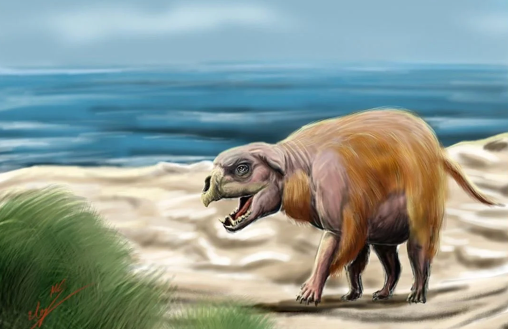 Cryptid Tier List - John Paul Brammer