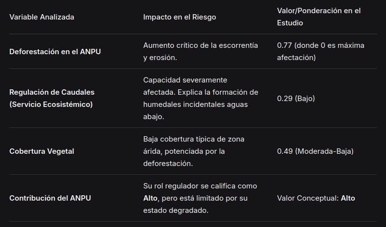 Humedales por Diseño: Cuando la Urbanización Crea su Propio Riesgo (y ...