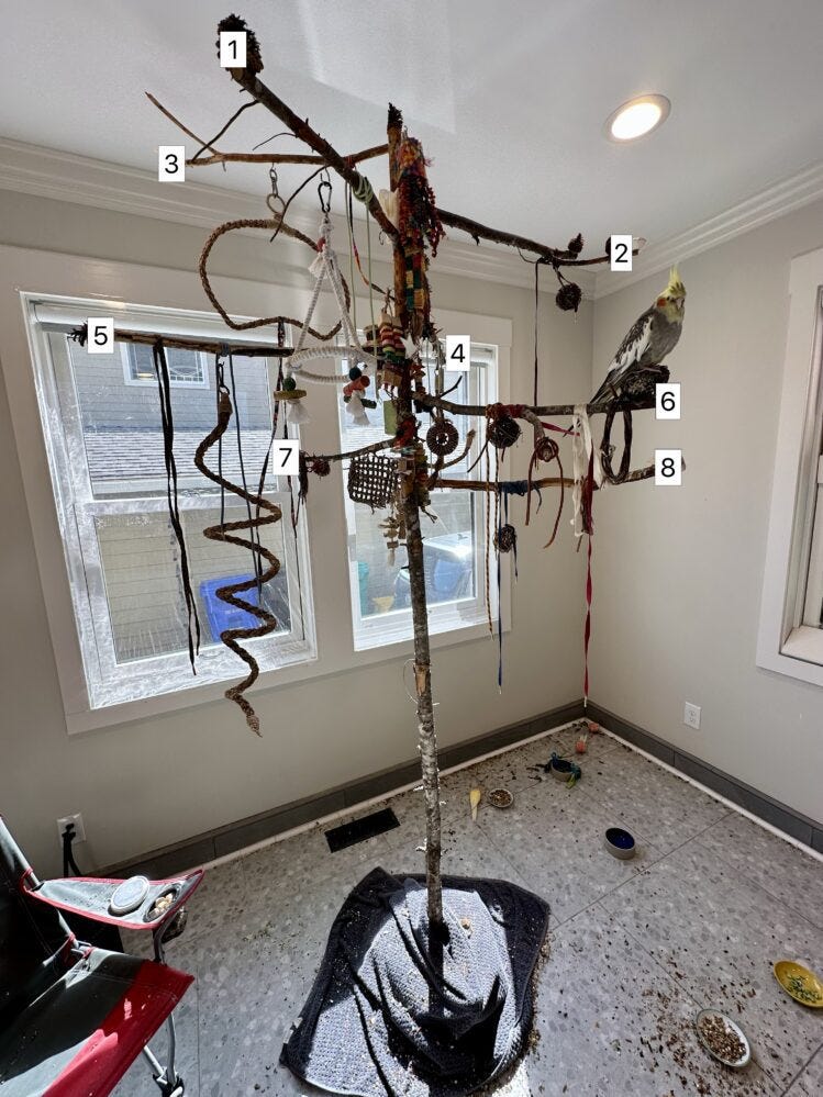 How I made “perch trees” for our aviaries