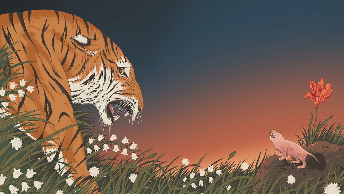 Comments - Learning about longevity from long-lived animals
