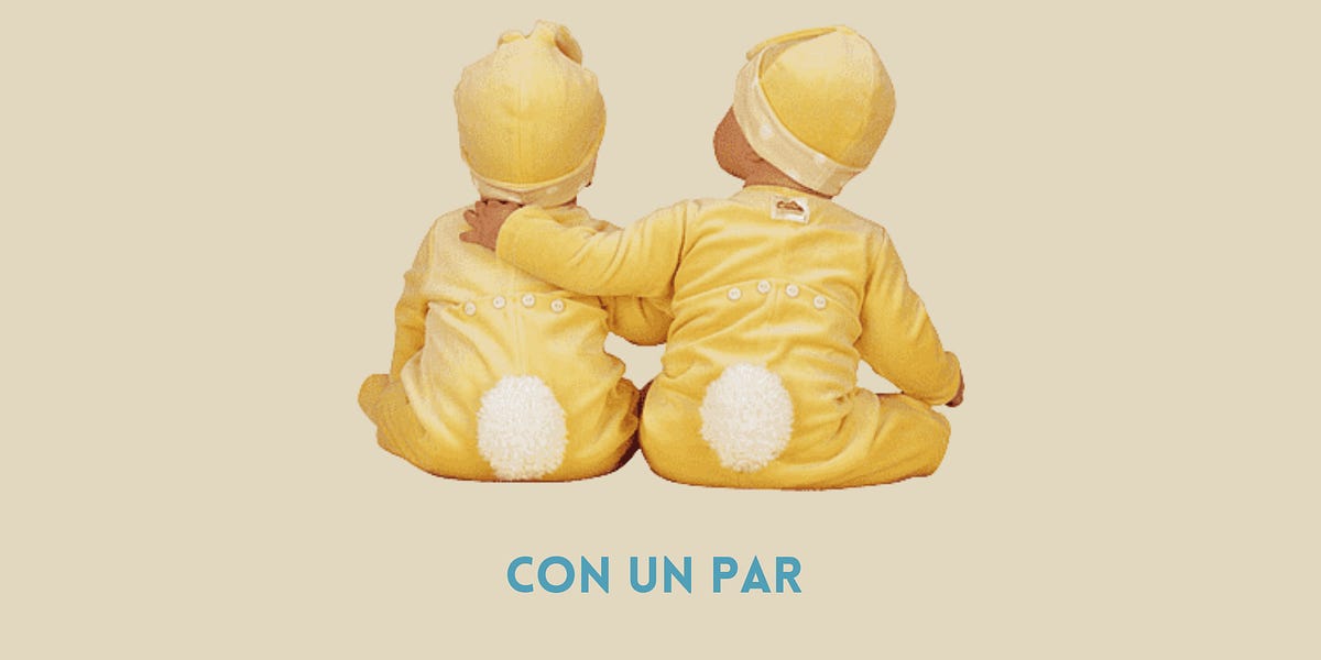 Tipos de embarazo gemelar: ¿Bi-Bi, Mono-Bi o Mono-Mono?