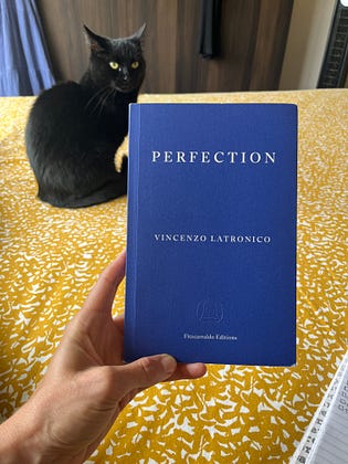 Rosie Spinks | Substack