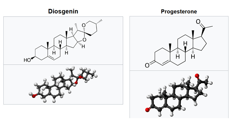 "What is the difference between Prometrium® and Provera®? Are they ...