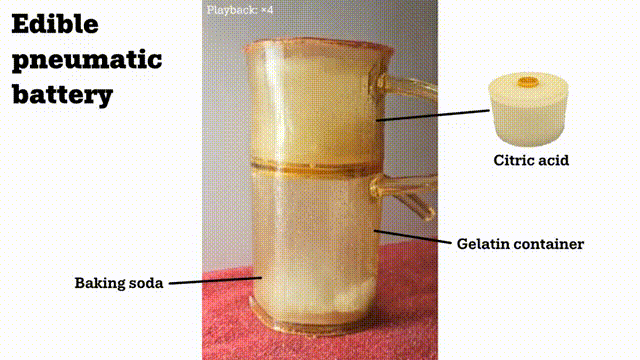 World’s First Fully Edible Robot - by Meng Li - RoboPub