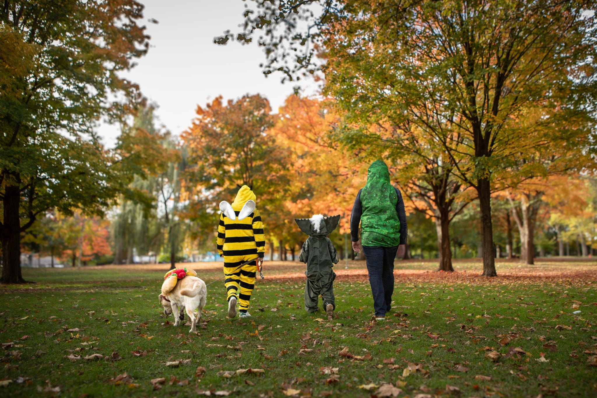 A Month of... - by Jen Allison - Life Through My Lens