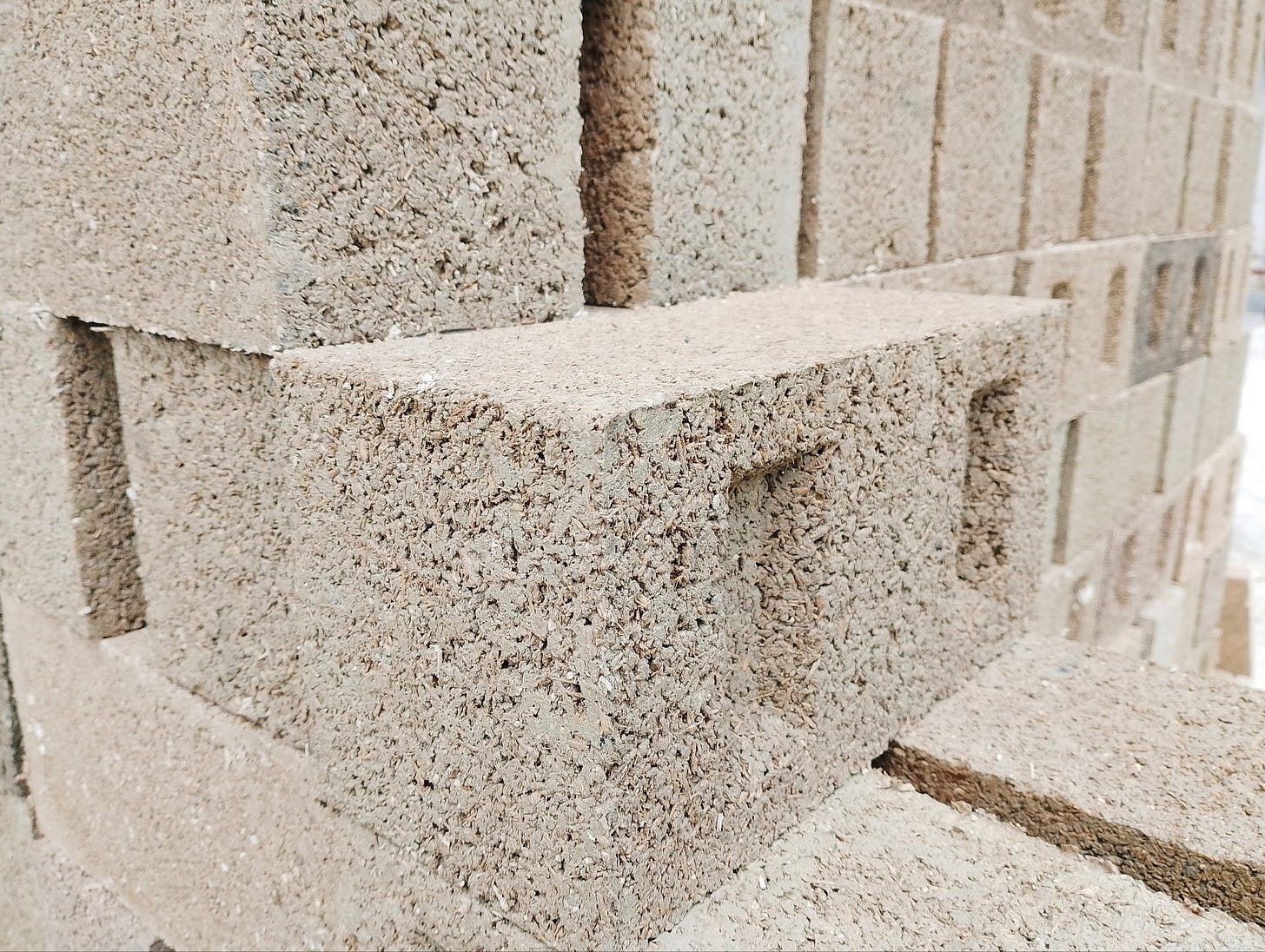 This startup is building homes with hemp - Climatopia