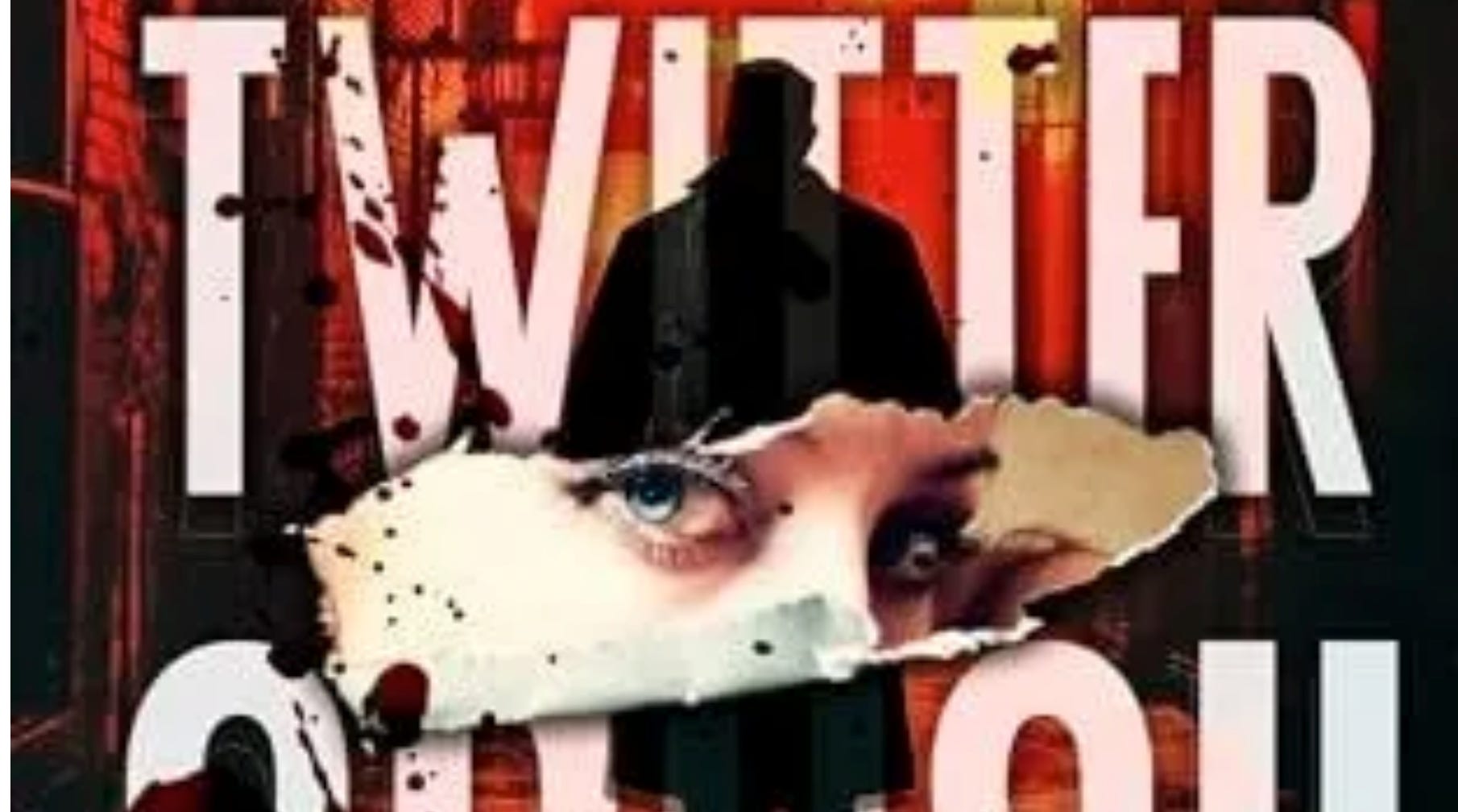The Twitter Crush: A Based Crime Thriller That Will Surprise You