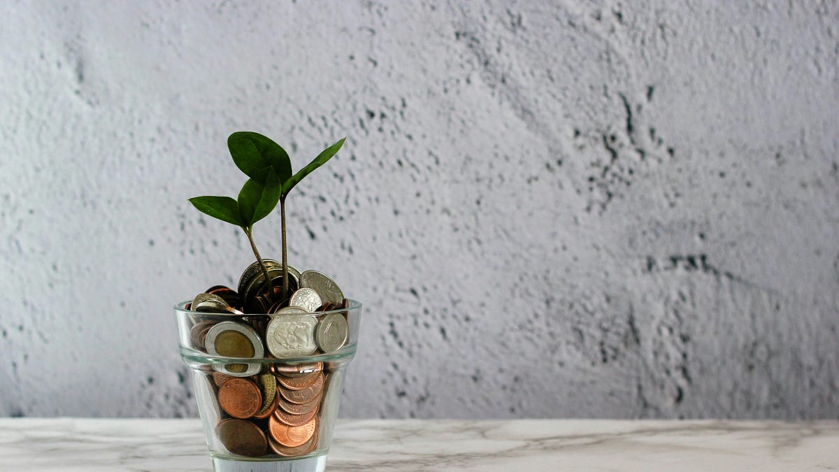 Why Does Editing Cost So Much? - by Steph Collin (they/she)