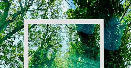 Ten Thousand Journeys | Priya Iyer | Substack