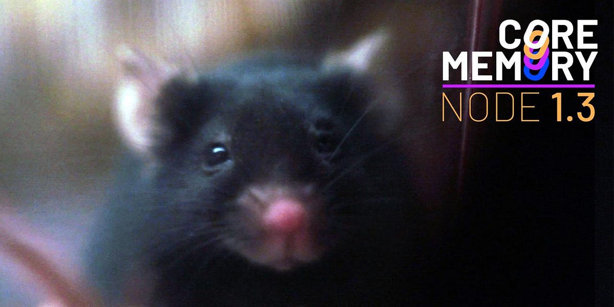 Inside Retro Bio: Sam Altman's $180 Million Longevity Bet