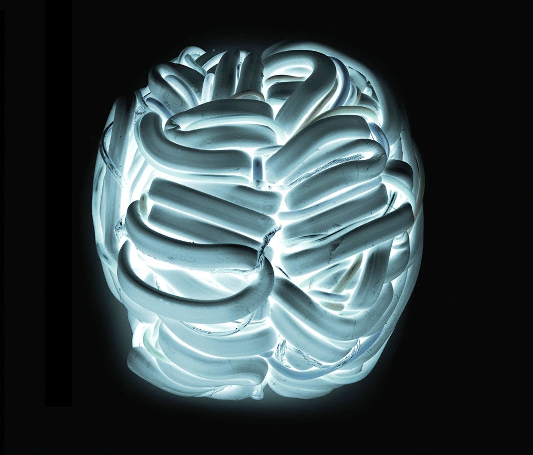 The Two Species of Nootropics - by Lawrence Elliot