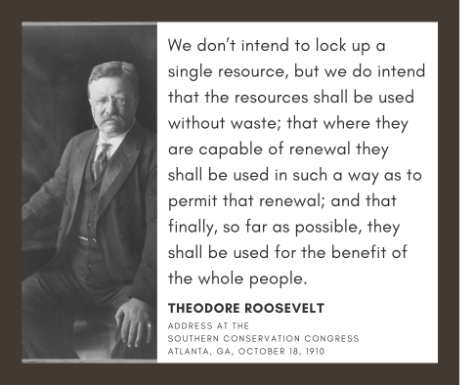 Wednesday Wisdom - by Theodore Roosevelt Center