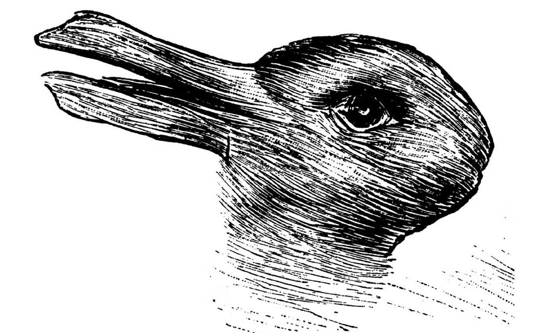 Duck-Rabbit Illusion - by Remo Giuffré - REMORANDOM
