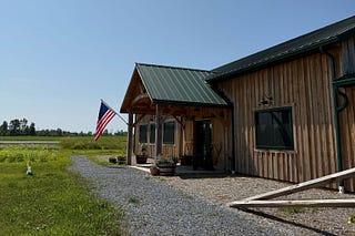 House of Green | Alexandra Fasulo | Substack