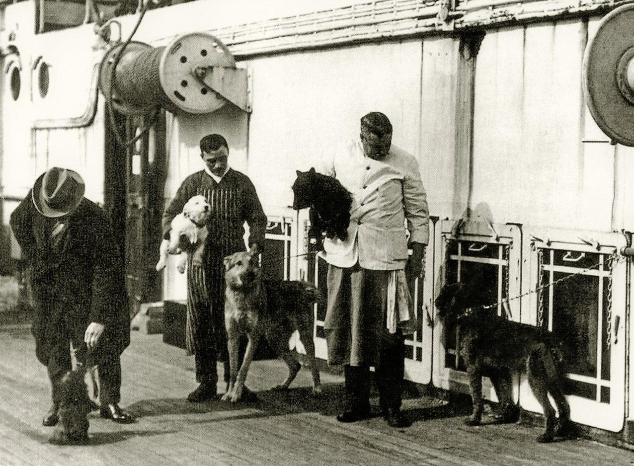 DOGS OF THE TITANIC - by Loades of History, Mike Loades