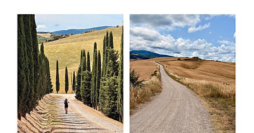 Marco Altini’s Substack | Substack