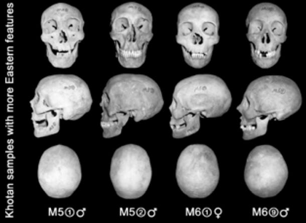 asian skull features