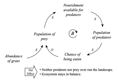 Getting Started: What are Feedback Loops?
