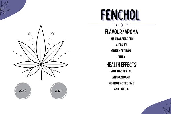 AusCannaReviews’s Substack | Christina Mc Mullan | Substack