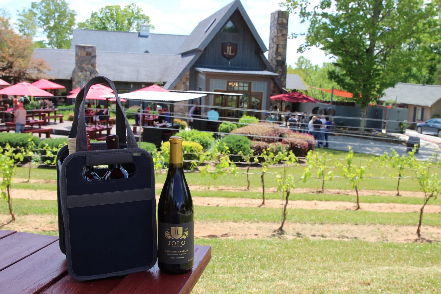 Chambourcin: A Rising Star in American Vineyards