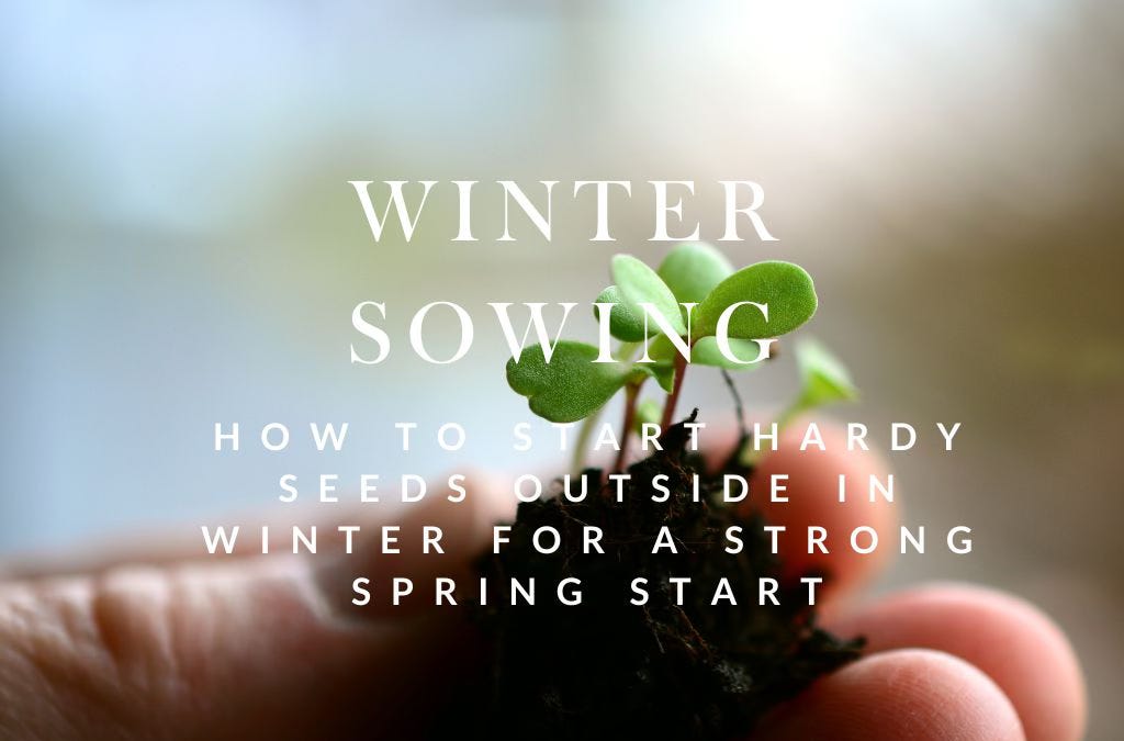 A Beginner's Guide to Winter Sowing