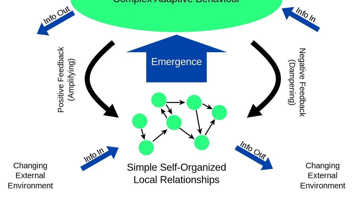 complex adaptive systems change theory