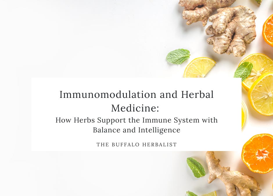 Immunomodulation and Herbal Medicine: How Herbs Support the Immune ...