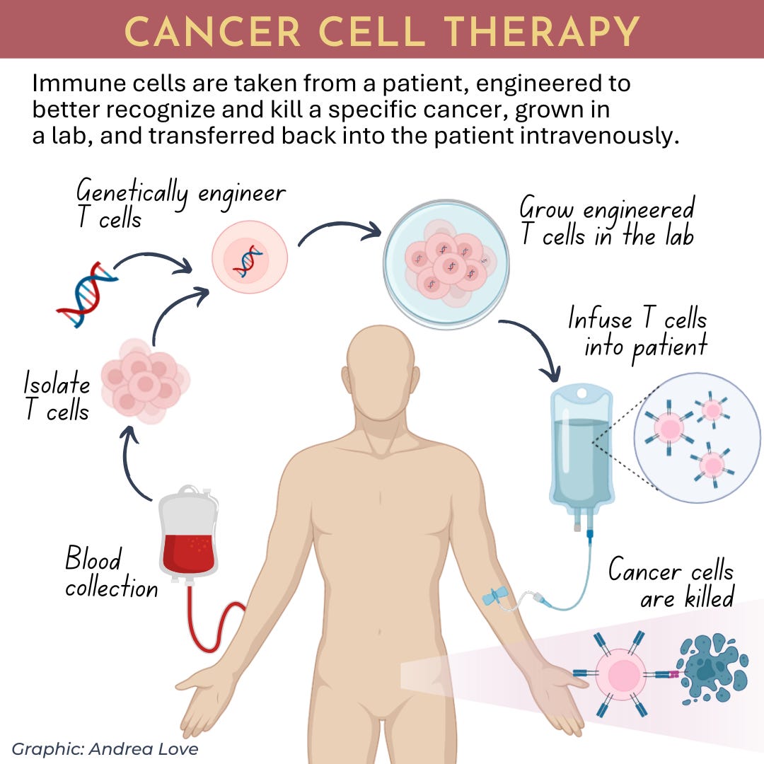 We cure cancer with genetic engineering but ban it on the farm.
