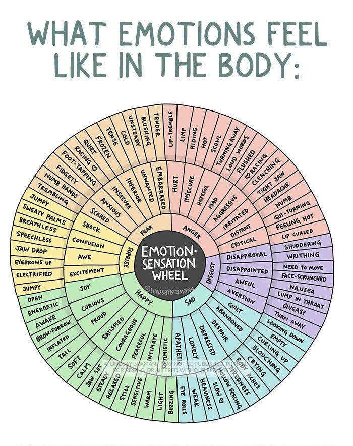 Lessons in Self Love | The Emotional Literacy Series: How to Tune In to ...