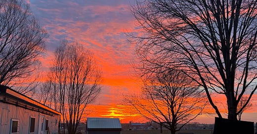 The Etymology Nerd | Adam Aleksic | Substack