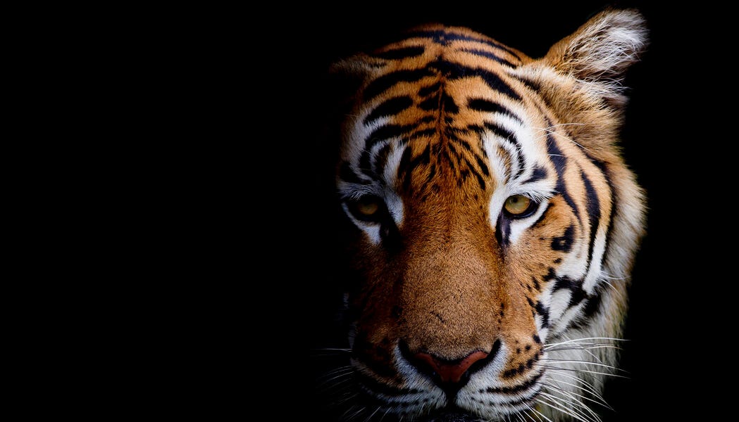 Daily Plan 12.16.25 - by Tic Toc Trading