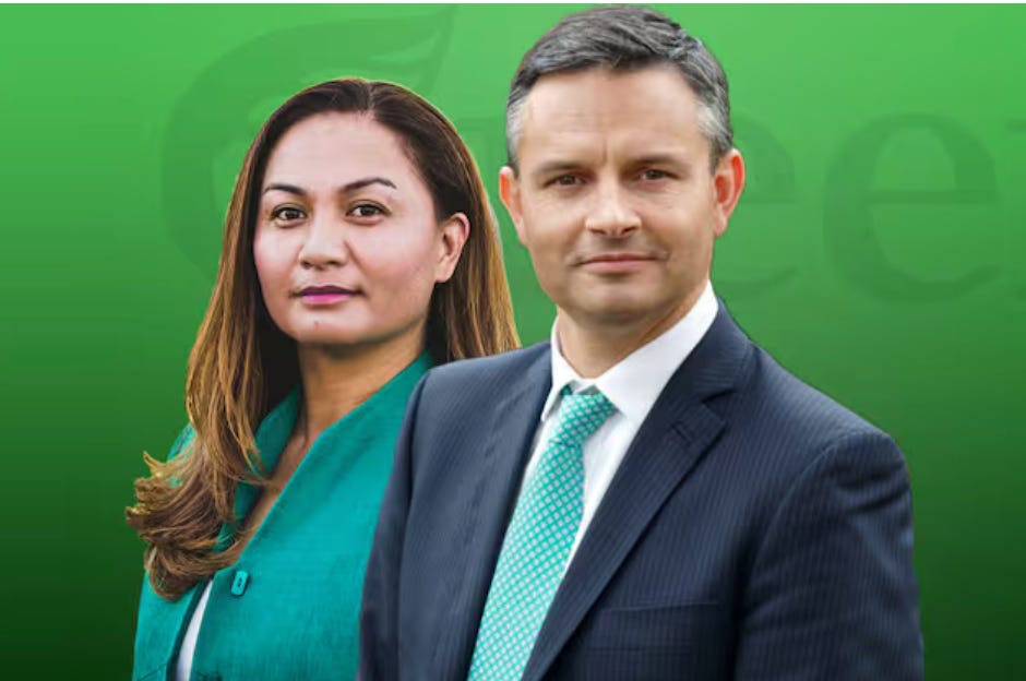 Jacinda Ardern and James Shaw ultimately effective
