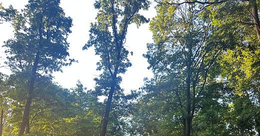 The River House | Samantha Demarkles | Substack