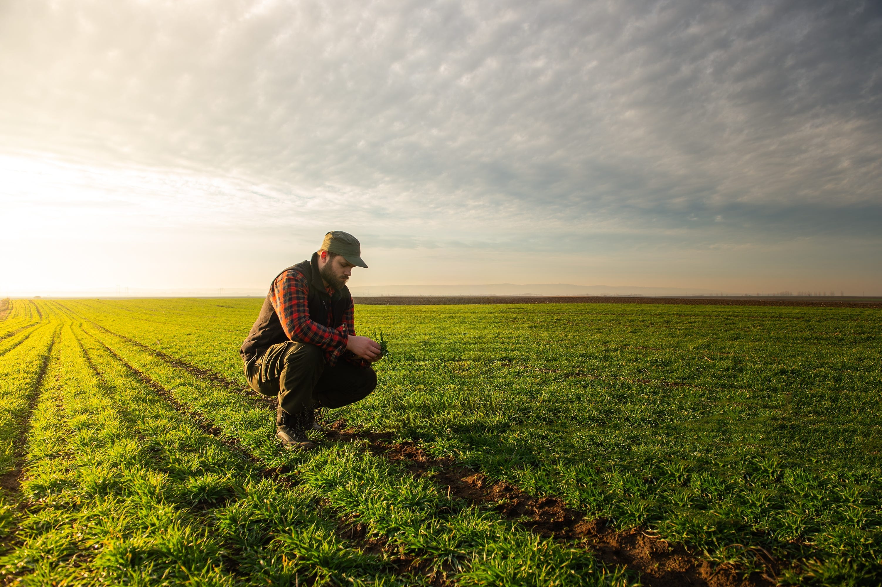 Farm Income to Fall in 2026 Despite Hefty Gov’t Payments