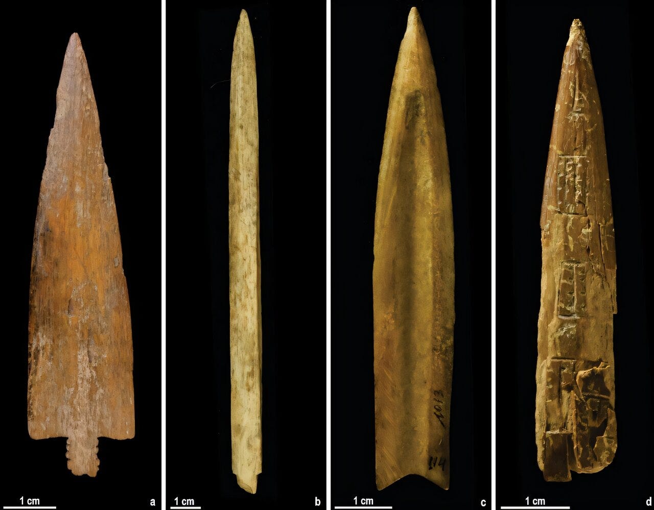 The Quiet Precision of Bone: How Arrow Points Tell the Story of Late ...