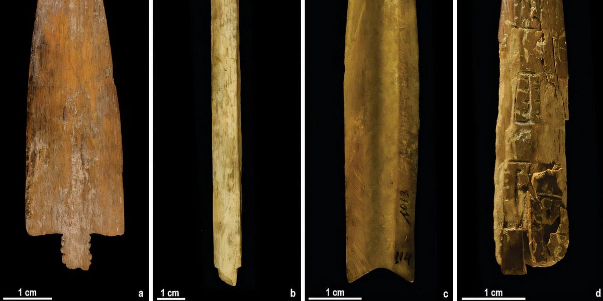 The Quiet Precision of Bone: How Arrow Points Tell the Story of Late ...
